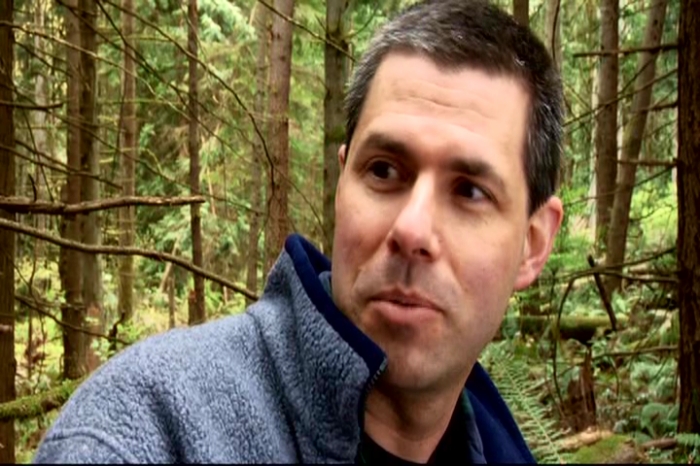 헤일로 후속작과 '쉴드 월드(Shield World)' : 네이버 블로그